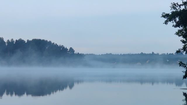 о.август 2024  утро.поклёвка VID_20240802_054041 -