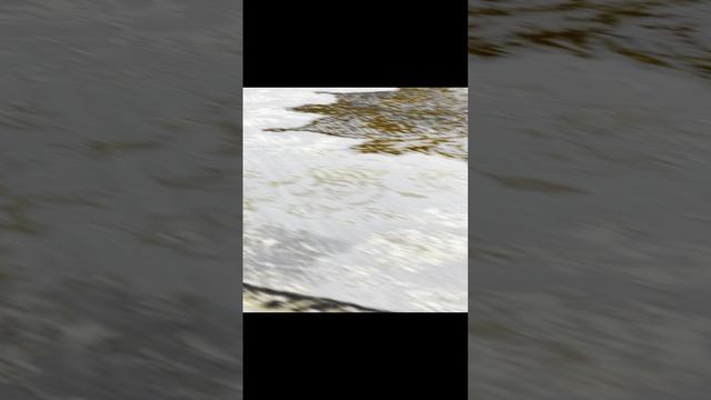 A064A_LIGHT GREY SHRINK  GOLD FDY-круг