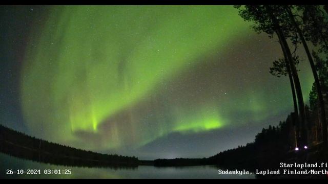 028. 2024-10-26. Northern Light Live Sodankylä, Finland.