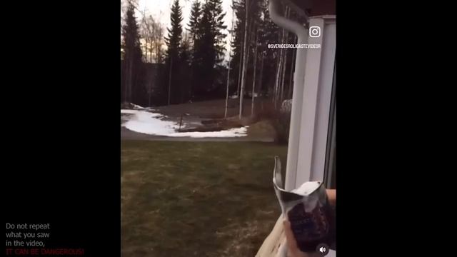 UNUSUAL MEMES COMPILATION V91 (meme.mp4)