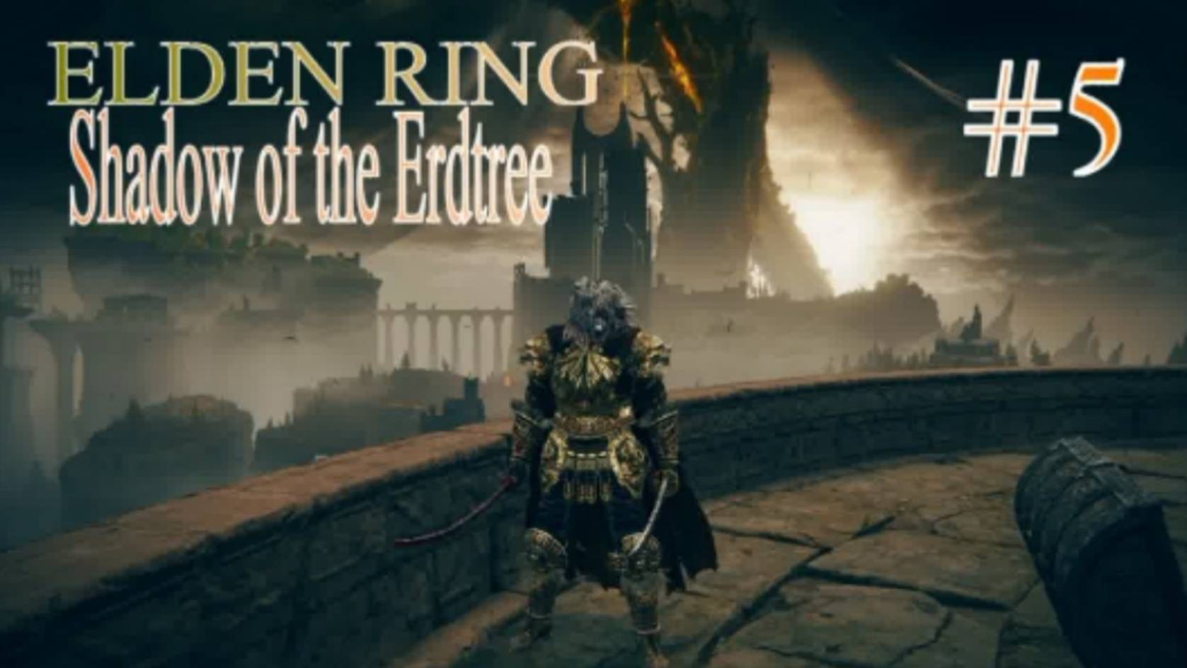Elden Ring . Shadow of the Erdtree . #5