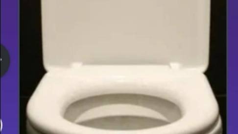 Бумажный туалет!