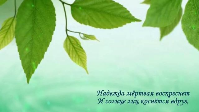 Нежность
#сезонконтентаRUTUBE