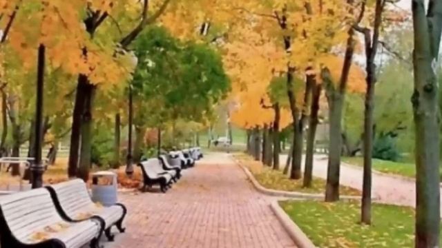 СМЕРТНЫЙ ДАР_  2 Мистика. Истории на ночь.