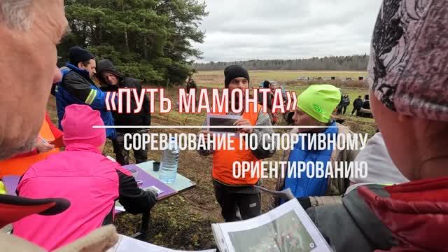 Соревнования по спортивному ориентированию недалеко от Нижнего Галино и д. Купцы