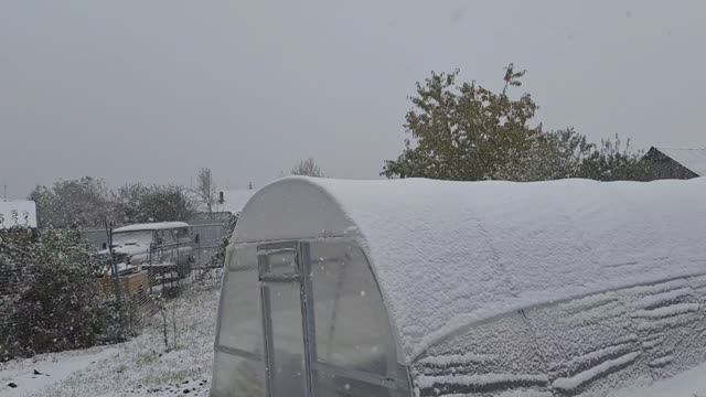 К нам зима пришла.  А может быть просто зашла не на долго.