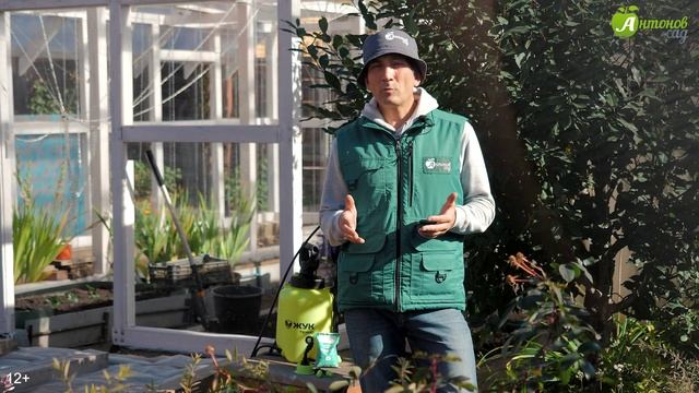 "Антонов сад" - советы по обработке железным купоросом