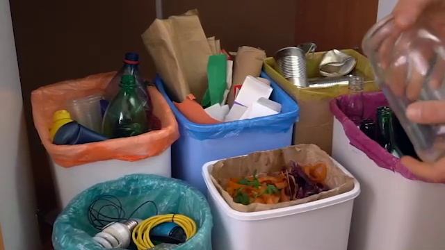 Where energy comes from_Germany_beehive5-culture-video-unit-3