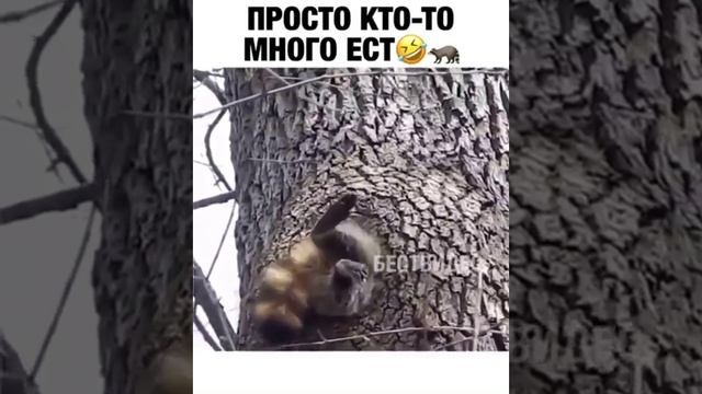 Надо похудеть