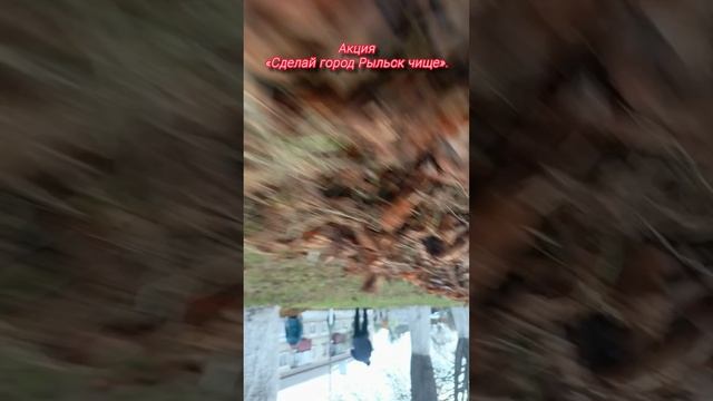Сделай город Рыльск чище