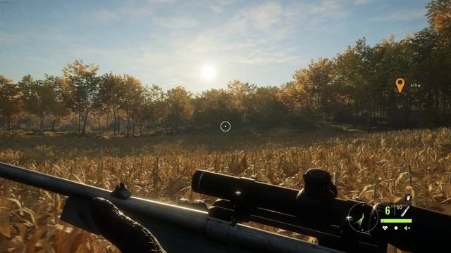 theHunter  Call of the Wild|Саванна|Новый манок