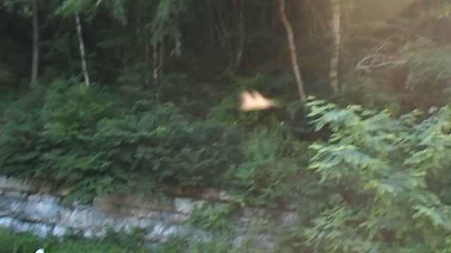 DSCN0636Отдых на море 2016  Турбаза Приморская