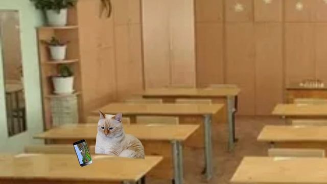 МАРИНА СЕРГЕЕВНА ‼️
та самая крыса в классе