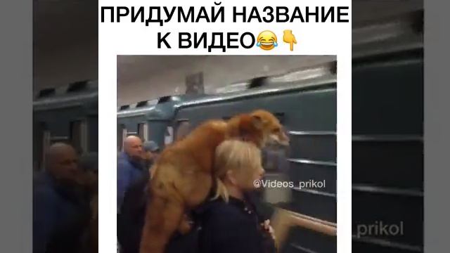 Перепутала