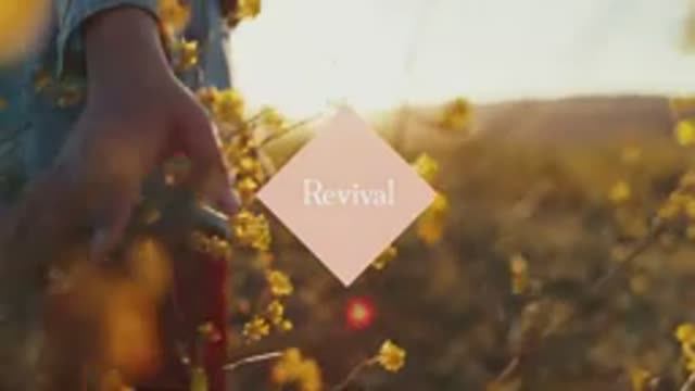 COLORKER коллекция REVIVAL