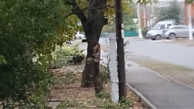 2 слитый кадр нового фильма