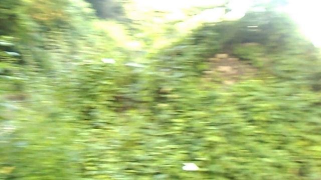 DSCN0639Отдых на море 2016  Турбаза Приморская