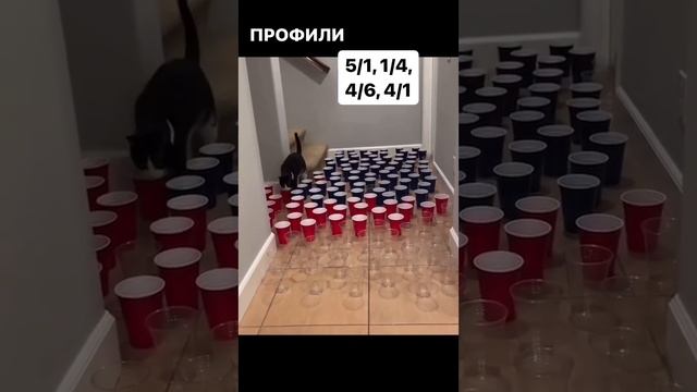 Профили в Дизайне Человека на примере котиков