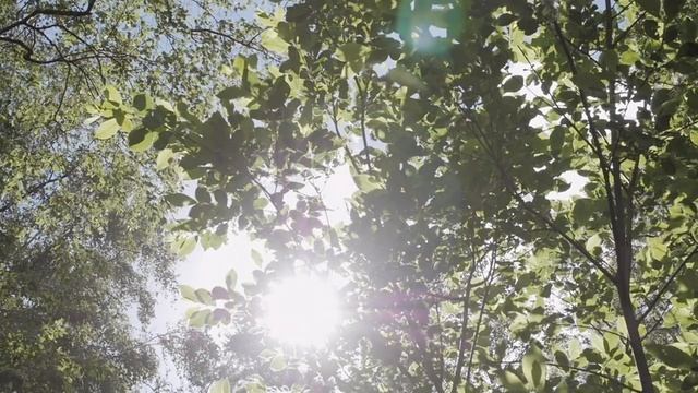 COLORKER коллекция HILLS