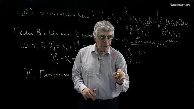 Веретенников А.Ю. -Теория стохастических дифференциальных уравнений - 20. Уравнения Маккина-Власова