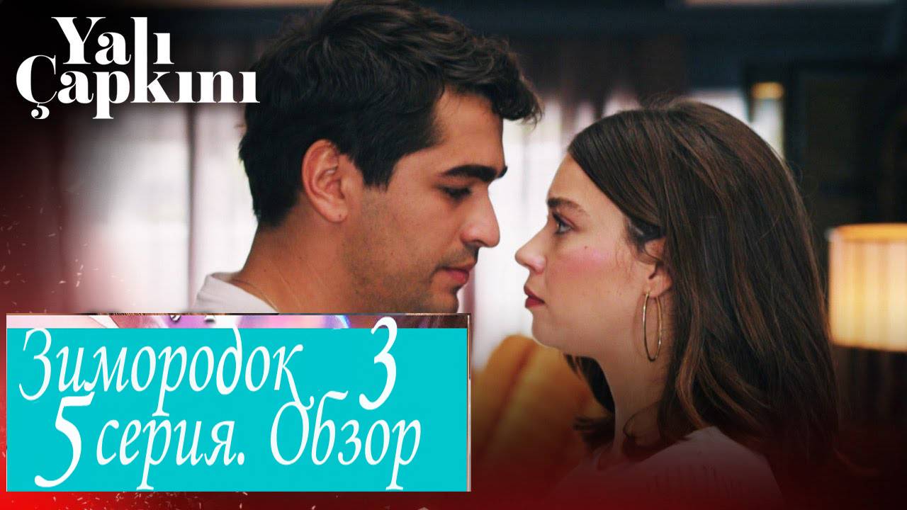 Зимородок 3 / серия 5 / обзор пересказ