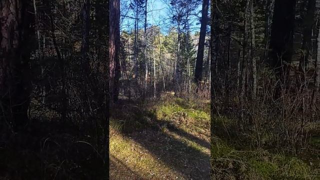 КРУТАЯ НОВОСТЬ! Настоящая революция — техника больше не просто антураж