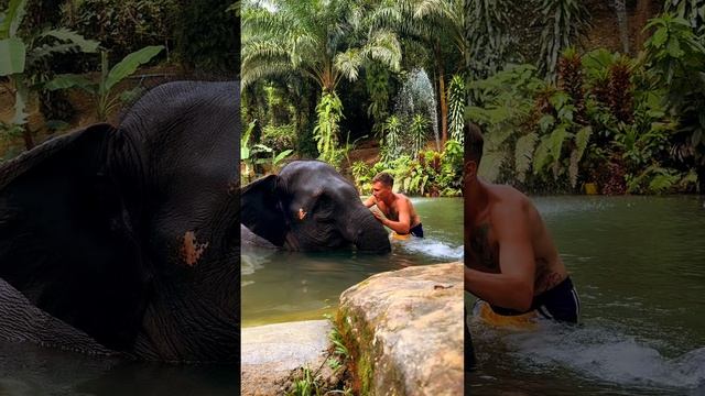 🌿 Незабываемый день на озере Чео Лан и купание со слоном! 🐘💦