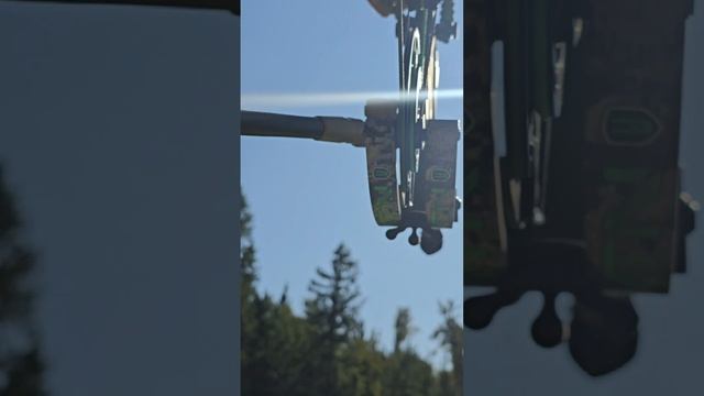 Стрельба из лука  #short