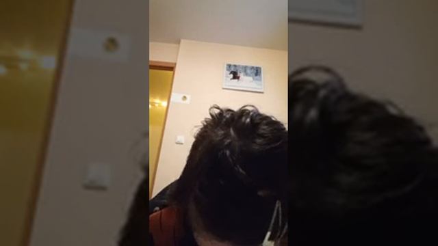 глава 15, марсианская деревня.