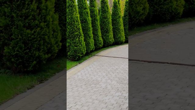 Загородный дом, экспресс рилс для клиента