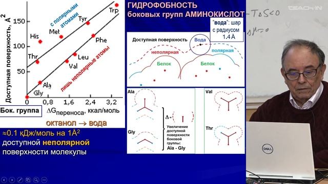 Финкельштейн А.В. - Физика белка - 5.Элементарные взаимодействия в белковых молекулах. Часть 1
