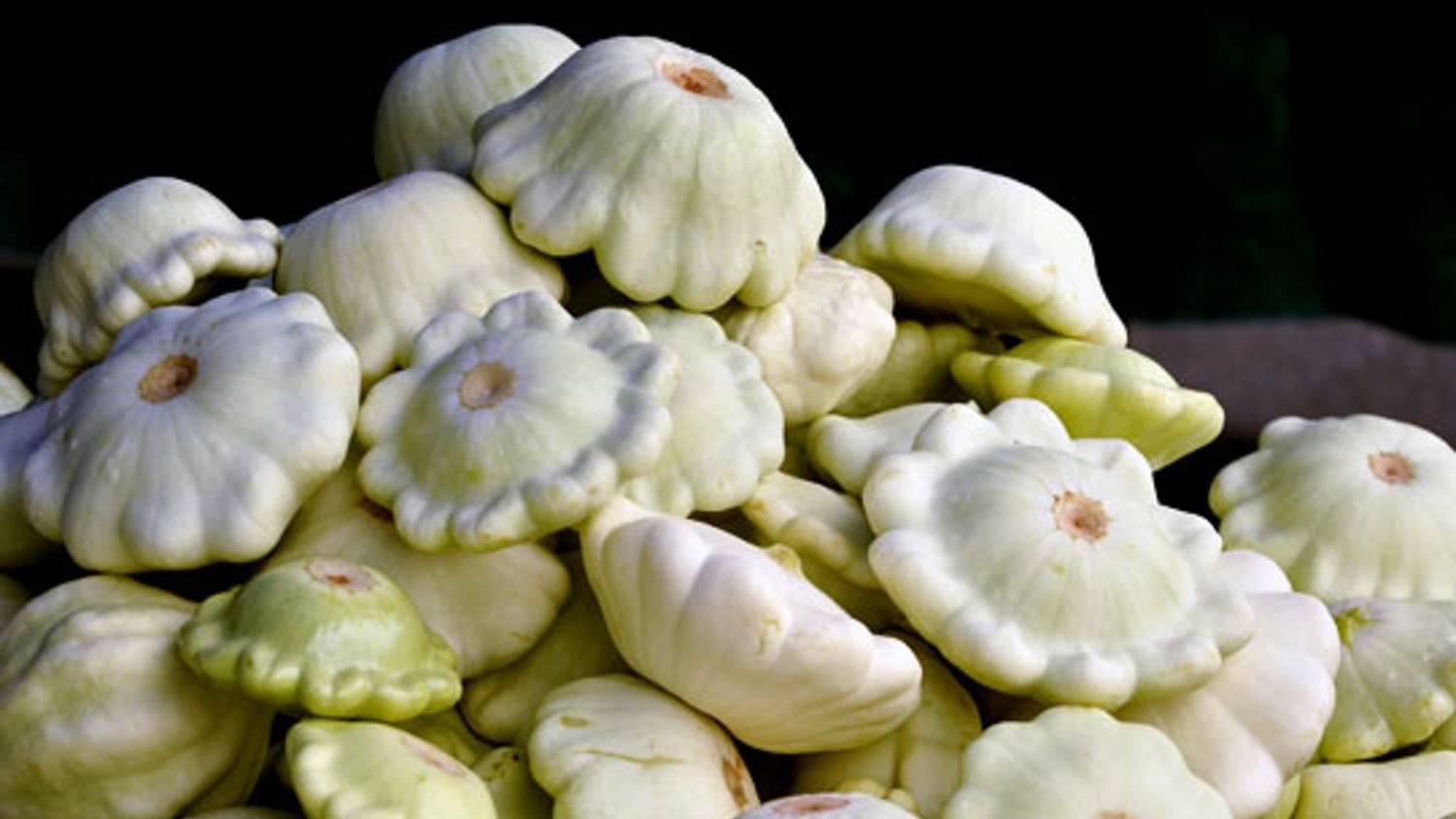 Stalker Online  Найти Патиссона