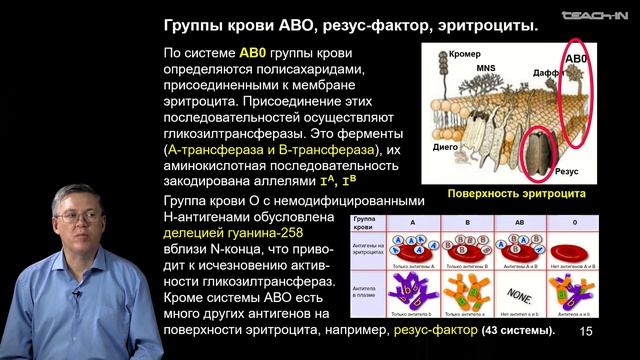 Дубынин В.А. - 100 часов школьной биологии - 2.17. Неполное доминирование. Дигибридное скрещивание