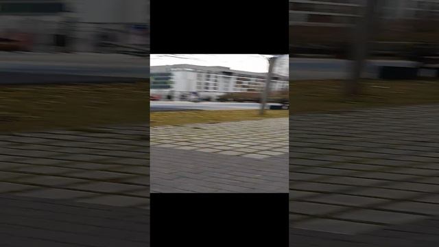 Едем и поём