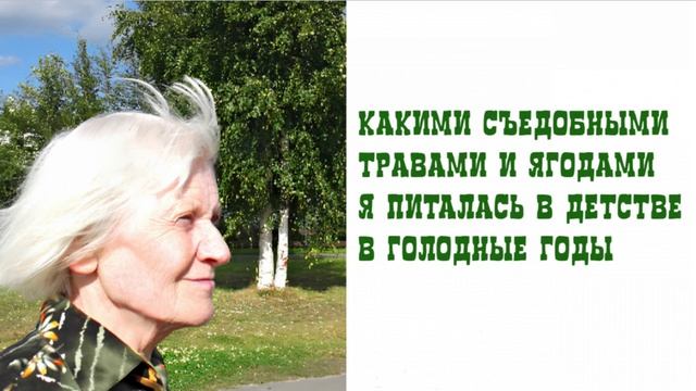 Какими съедобными травами и ягодами я питалась в детстве в голодные годы