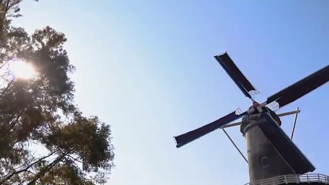 Bread_France_beehive5-culture-video-unit-5