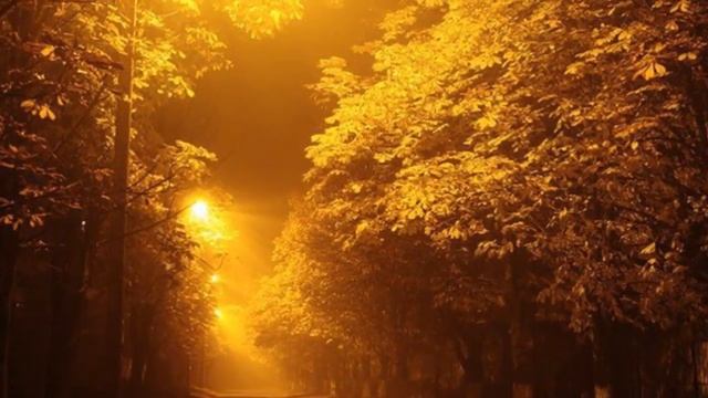 Танго осени