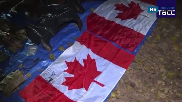 Появились новые кадры ликвидации диверсантов в Брянской области