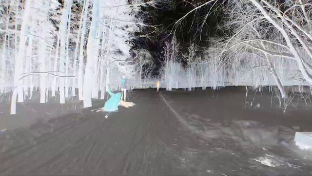 НА велосипеде в Мещерском  зимой