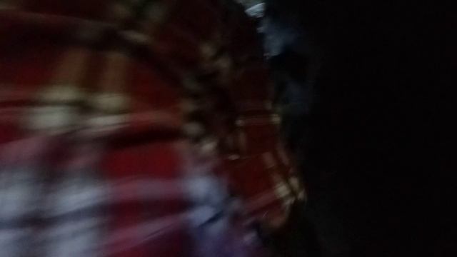 Мы доказали, что в лесу есть тайна! Волчьи ворота и таинственный лес в 70 км от Краснодара.