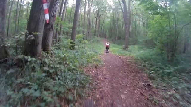 Подборисовик 2023 короткая