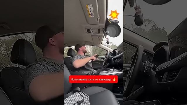 Матушка земля (в машине)