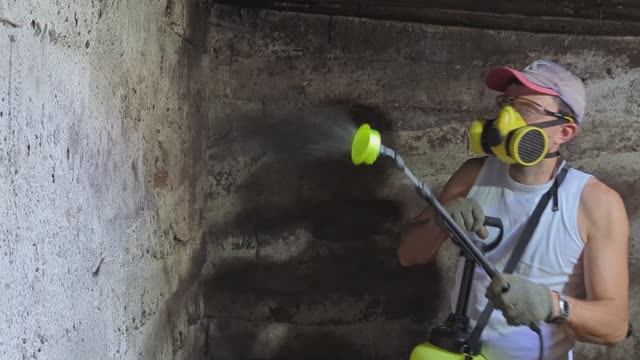 "Будни Федора в деревне". Как обработать подвал от плесени и грибка