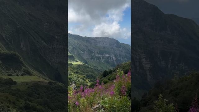 Родниковая вода «Вечно Молодой»