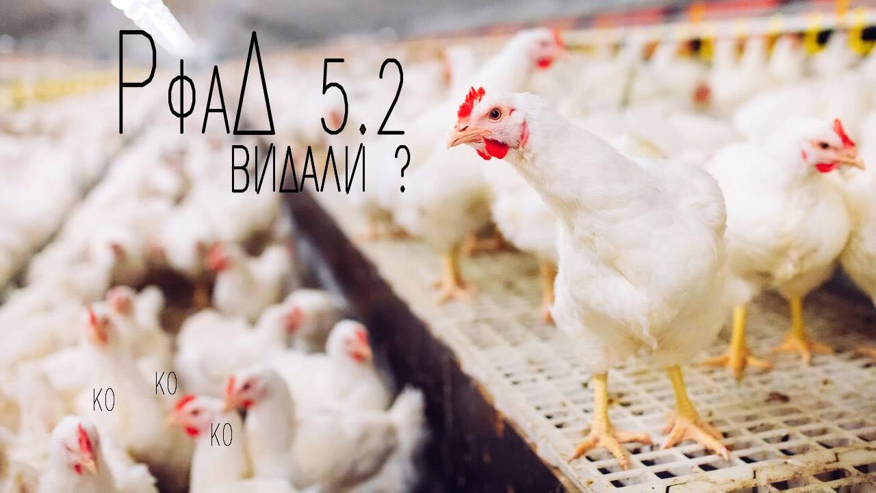 Skyrim RfaD 5.2 - НЕ МОРГАЙТЕ !