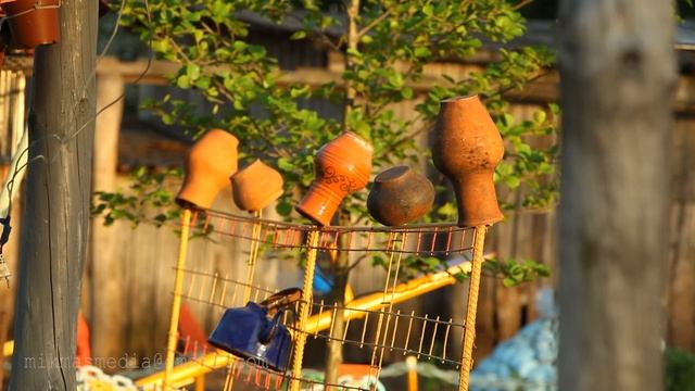 Звуки природы в белорусской деревне, пение птиц, пение лягушек