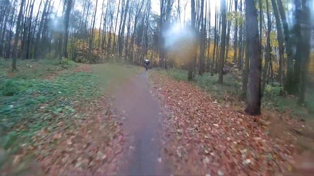 Томилинский марафон 2023 вся дистанция Лайт