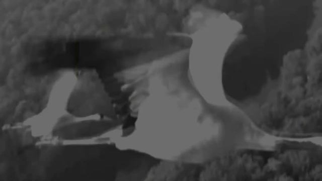 Заповедный край