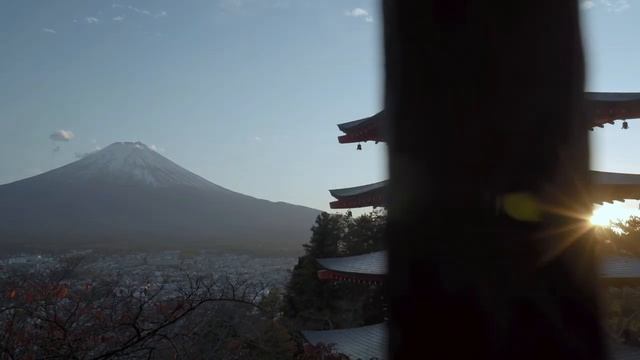 COLORKER коллекция KENZO