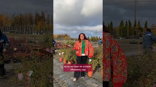 31 октября завершаем сезон розничных продаж!